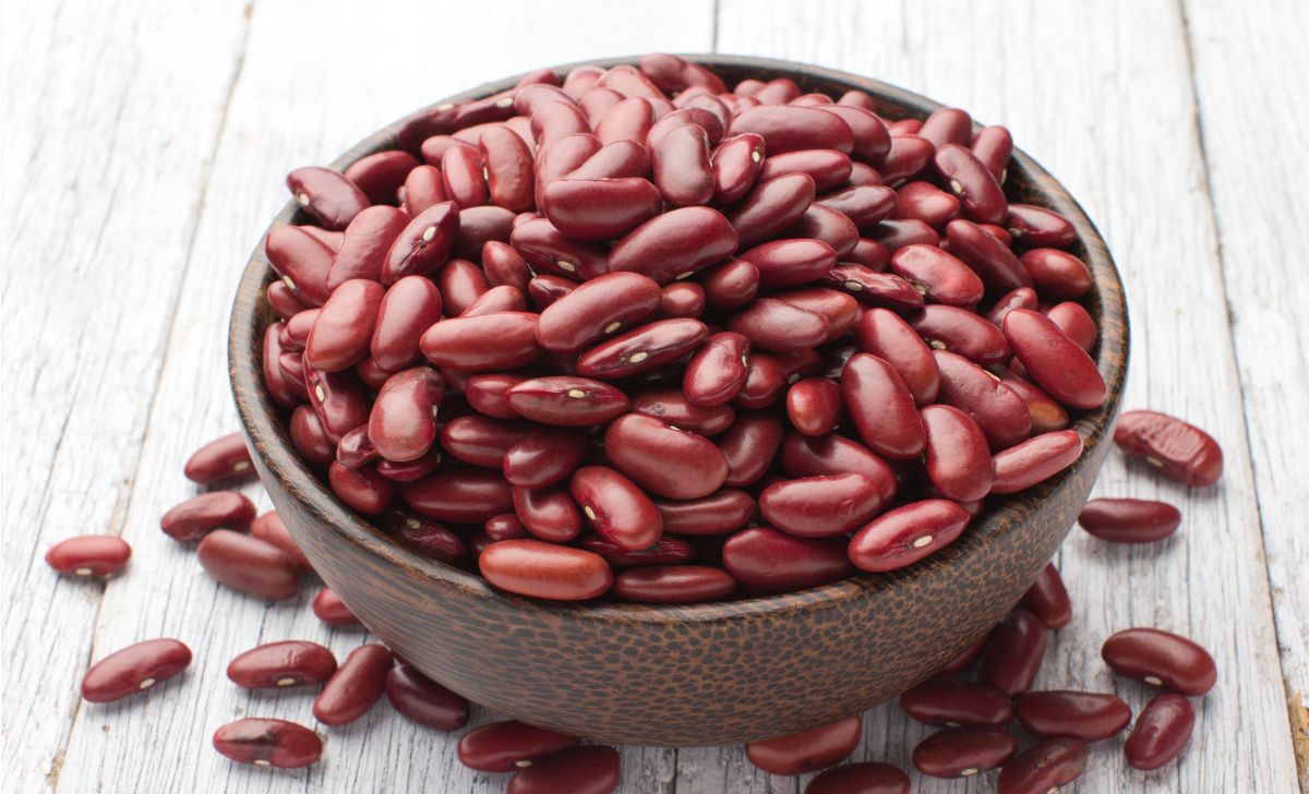 Manfaat Kacang Merah untuk Kesehatan: Sumber Protein Nabati yang Tinggi ...